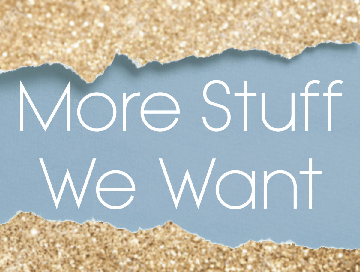 The More Stuff We Want Gift Guide - In The Groove